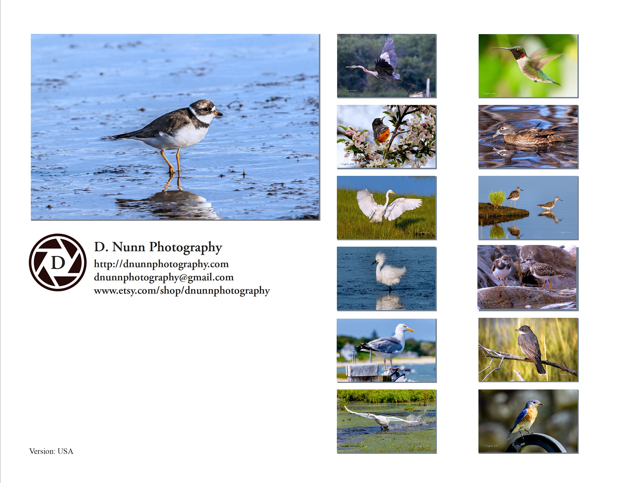 2022 Massachusetts Birds Calendar for 20 Cents! (USA Version) - Etsy