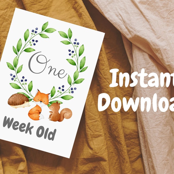 Cute Forest Animal - Etsy