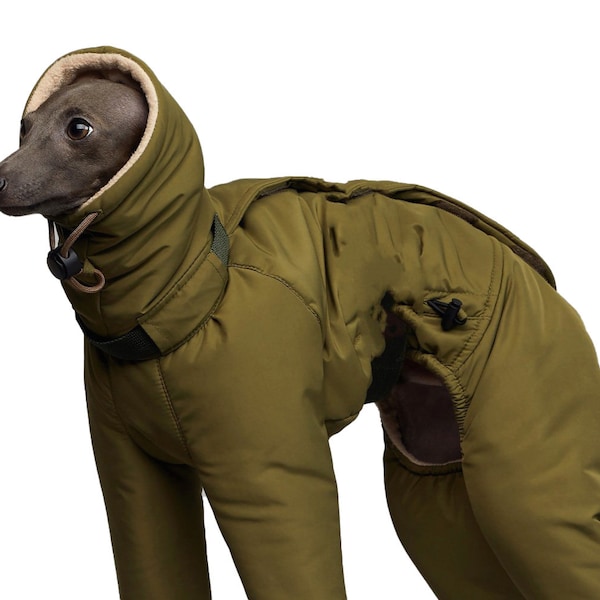 Whippet Clothing - Etsy