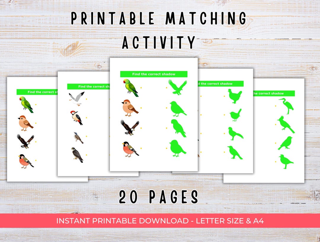 Birds Matching Printable for Kids 20-page Printable PDF Preschool ...