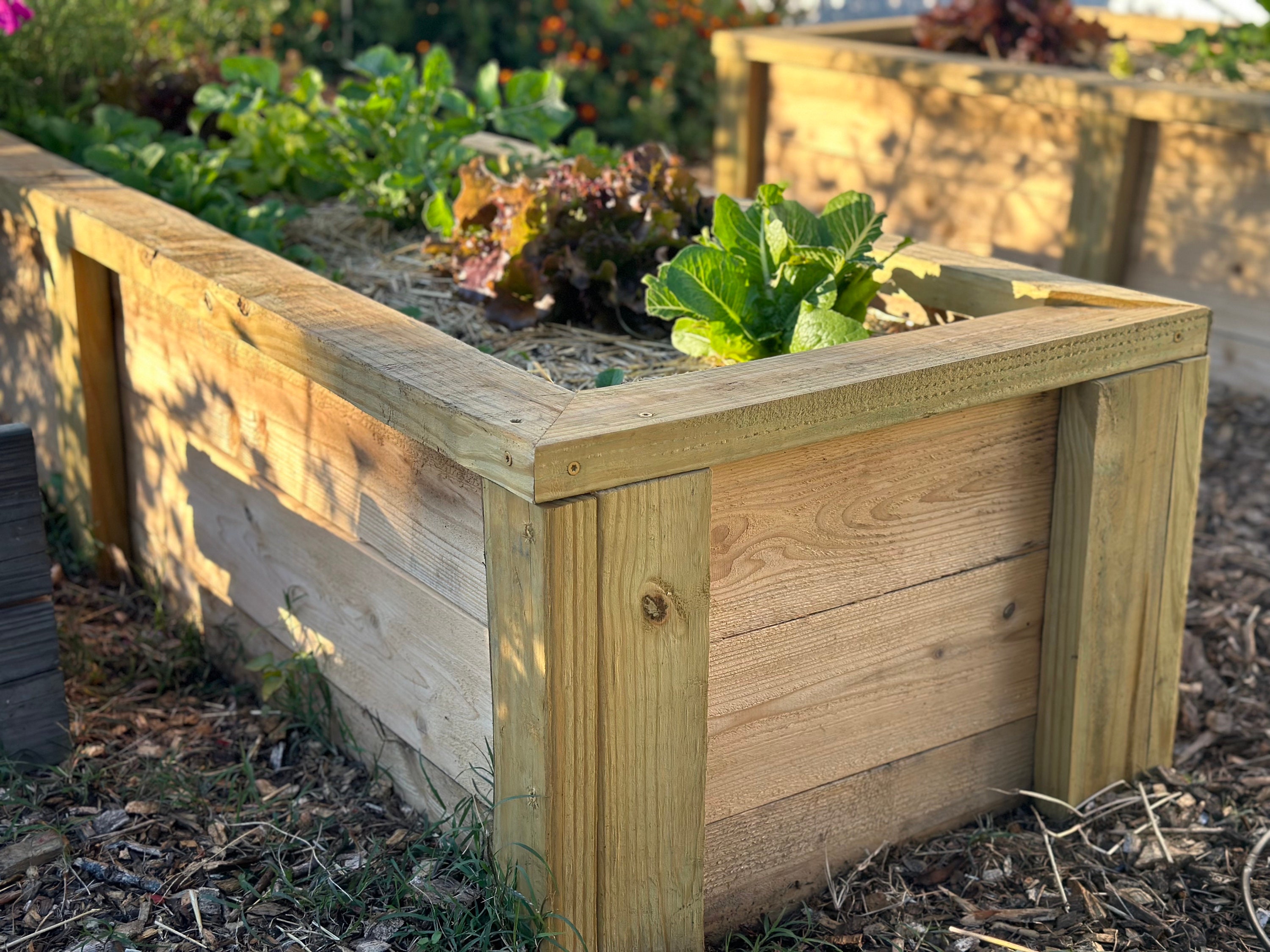 3’ X 6’ DIY Raised Garden Bed Plans - Build an Affordable, Durable ...