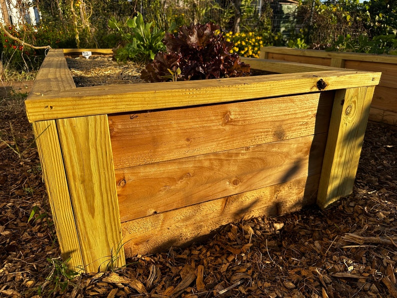 2’ X 6’ DIY Raised Garden Bed Plans - Build an Affordable, Durable ...