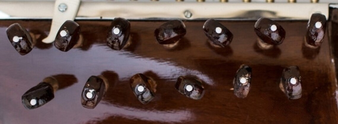 Sarod Professional Amjad Ali Khan Style Sarod Tun Wood Inlay Work ...