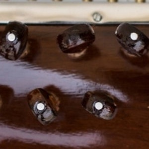 Sarod | Professional Amjad Ali Khan Style Sarod | Tun Wood | Inlay Work ...