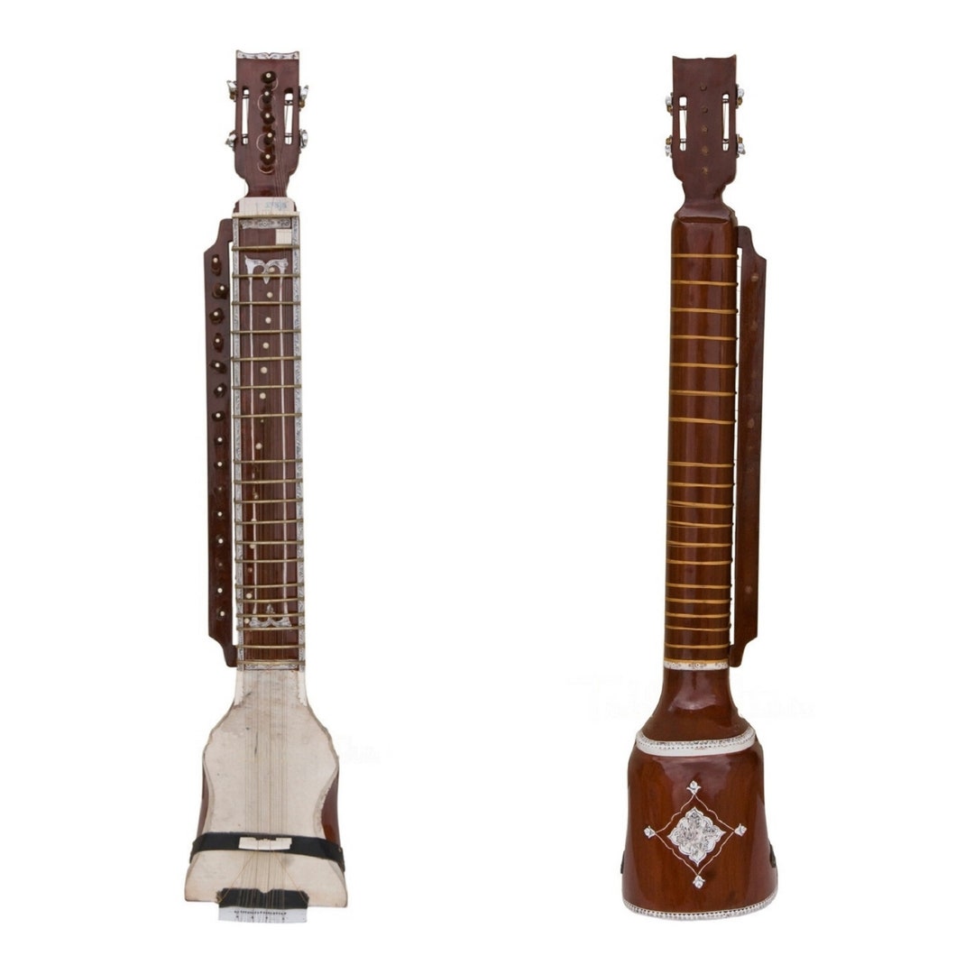 Professional Dilruba | Concert Quality Dilruba | 4 Main Strings & 15 ...