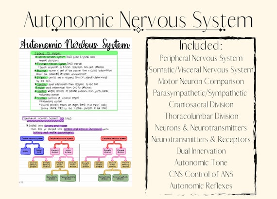 Autonomic Nervous System Receptor Chart