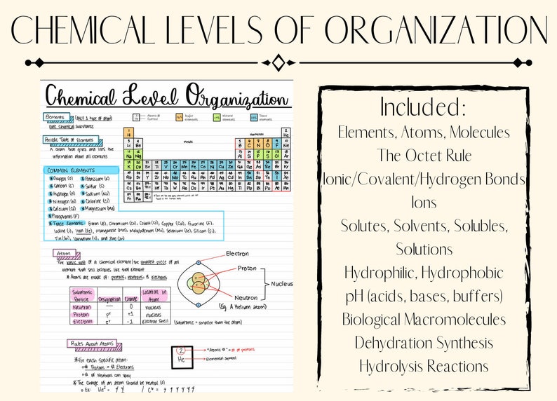 Chemical Level of Organization - Etsy