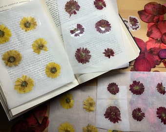 Real Flower Stickers | Etsy