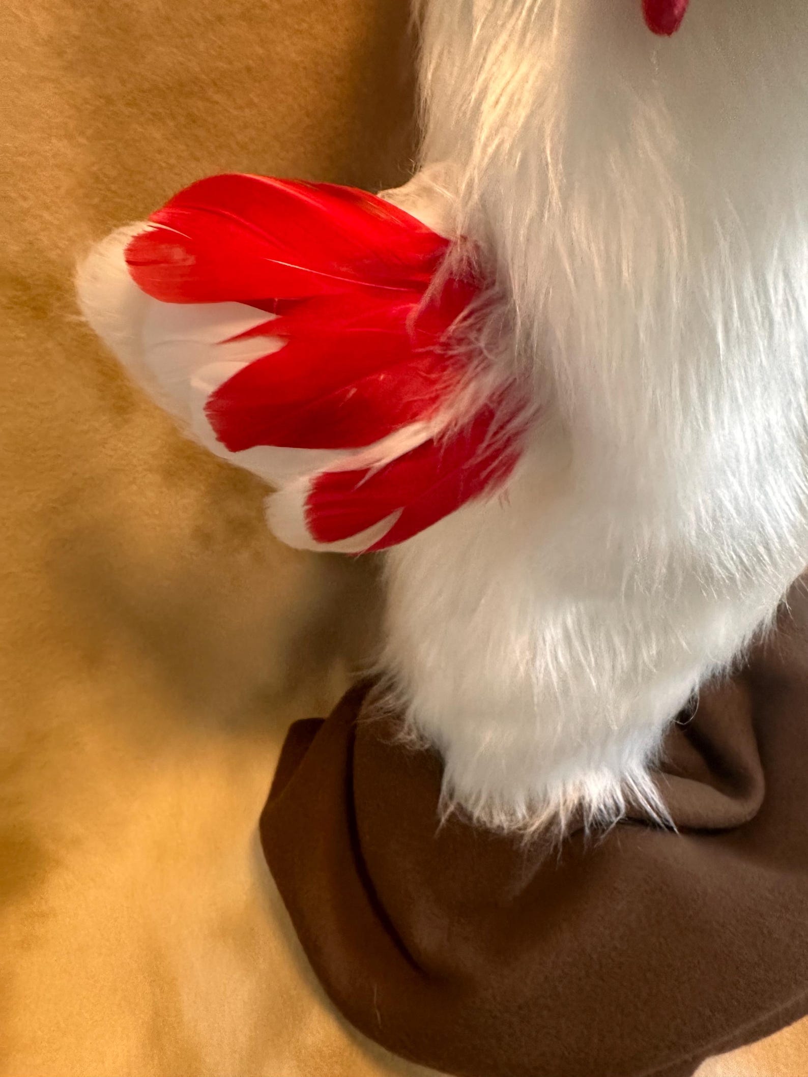 Chicken Feathered Hand Puppet - Etsy