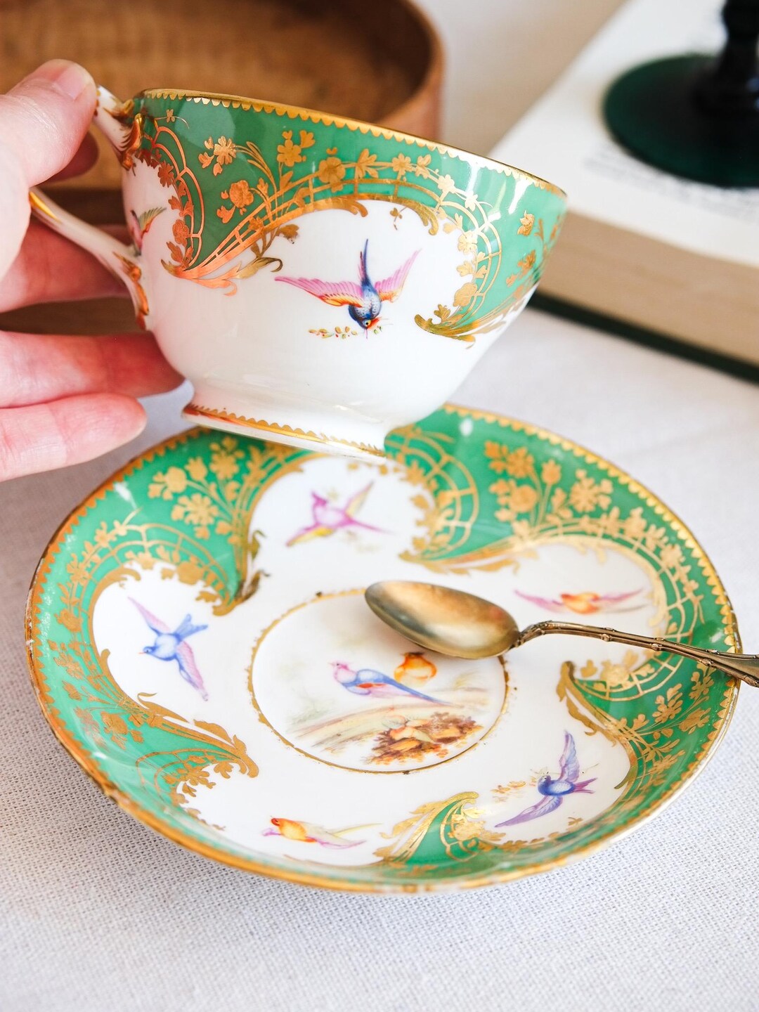Antique Coalport Tea Cup and Saucer: Hand-painted Exotic Birds, C.1850s ...