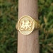 Family Crest Signet Ring,handmade Sterling Silver Signet Ring,all Kinds ...