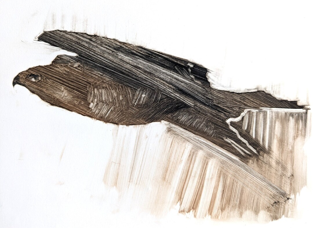 Swooping Buzzard - Etsy