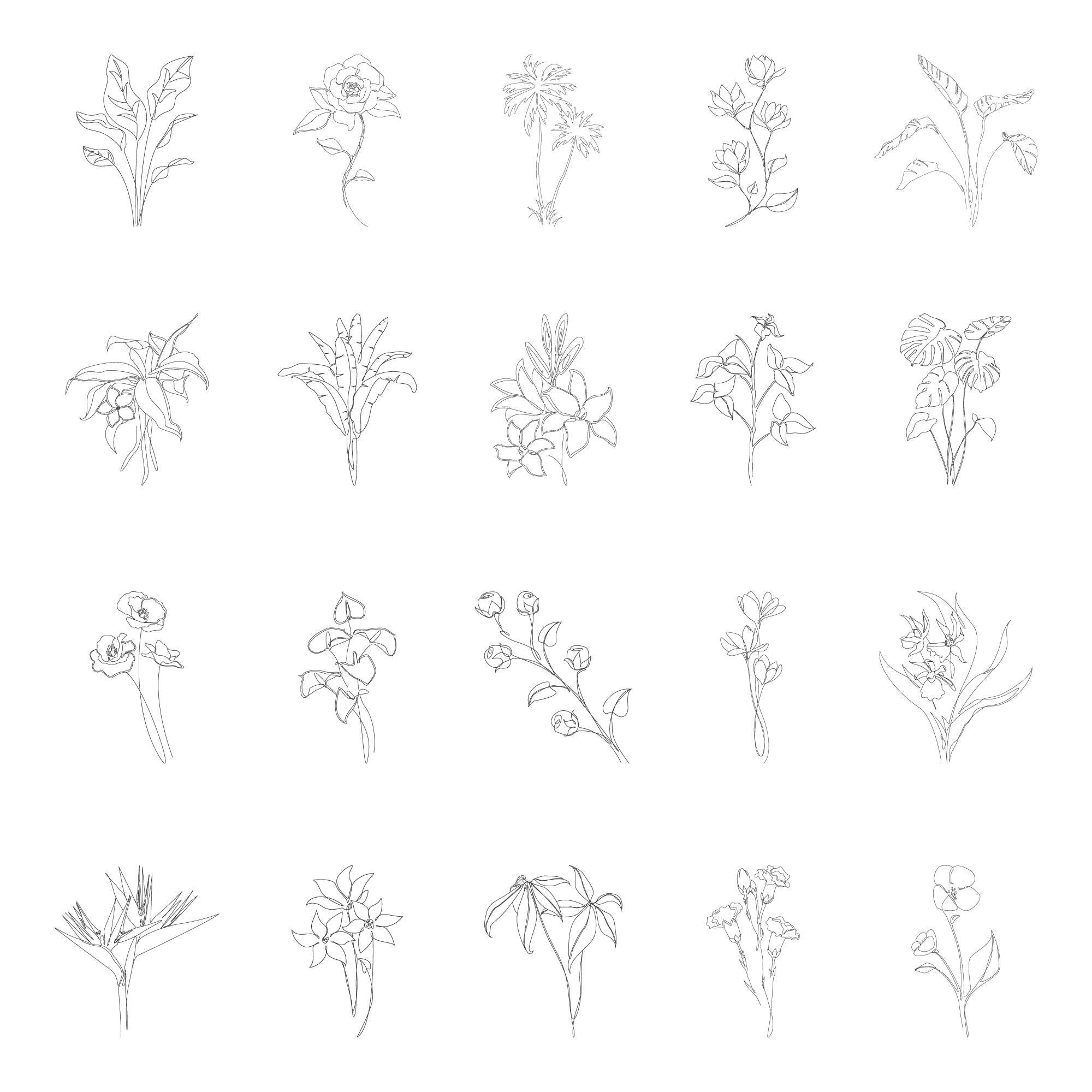 Simple Flower Line Art Bundle | 20 Minimalist Floral Designs Printable ...