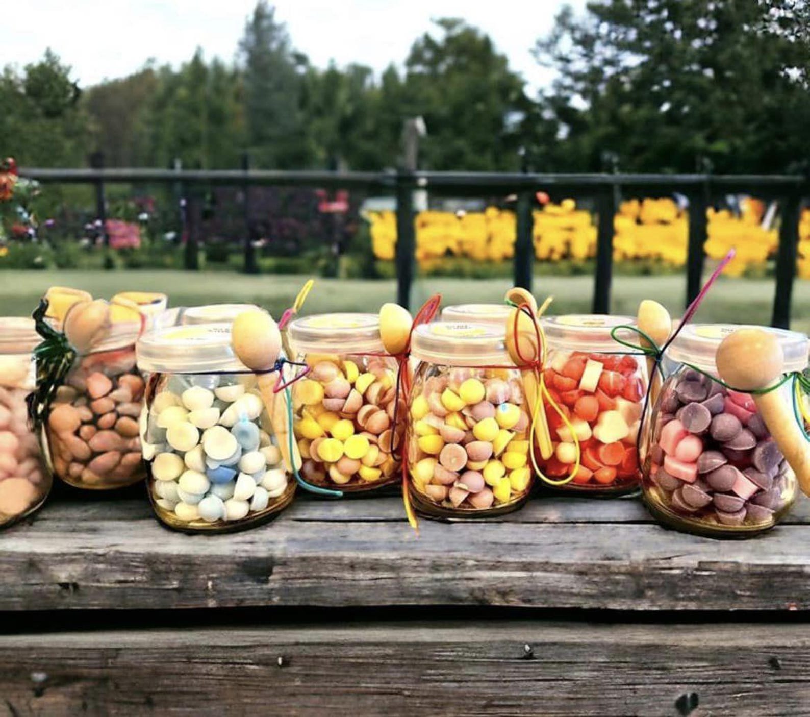 Pumpkin Cheesecake - Scoopies Dots Mini Wax Melts (scoopable) - 3oz - Etsy