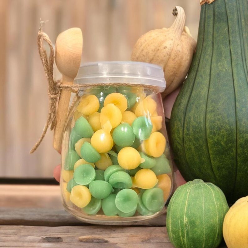 Pumpkin Cheesecake - Scoopies Dots Mini Wax Melts (scoopable) - 3oz - Etsy