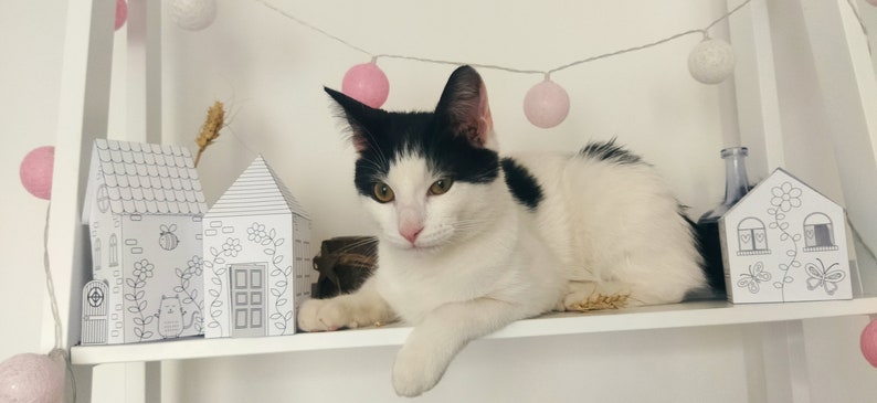 Paper Houses Template Printable Craft Sheets, Activity Sheets, Paper ...