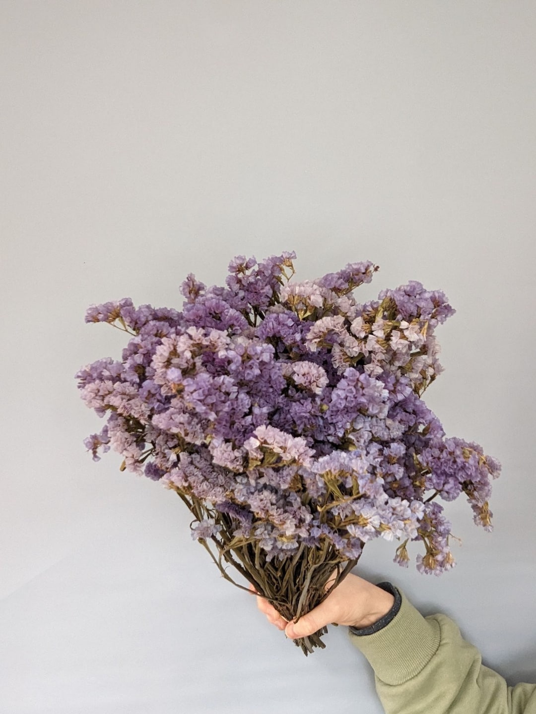 Lilac Statice | Limonium | Dried Flowers | UK Grown - Etsy UK