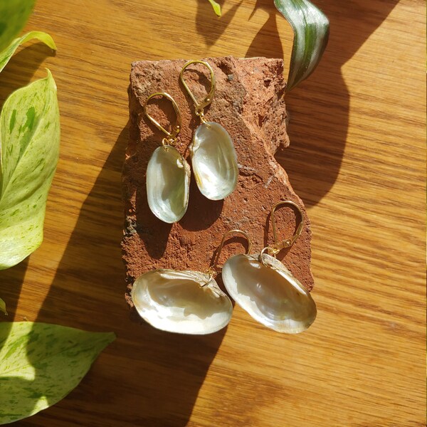 Mussel Shells - Etsy