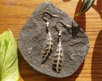 Quail Feathers - Etsy