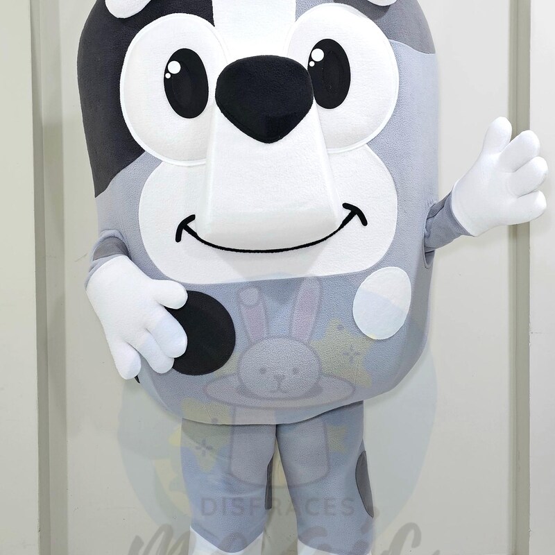 Bluey Mascot Costume - Etsy