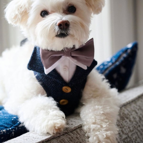 Wedding Dog Harness - Etsy