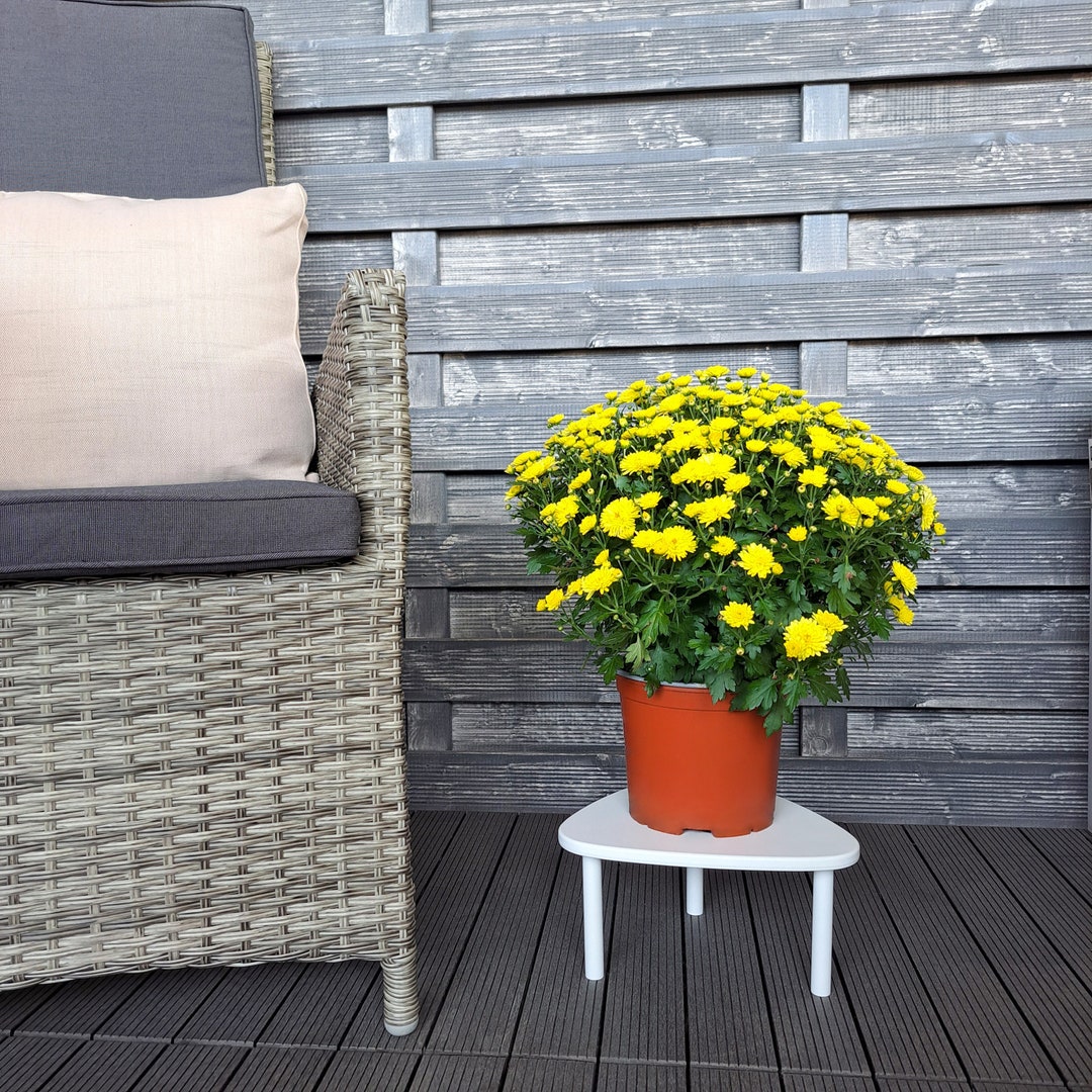 Flower Column 15 Cm / 6 in Stand for Flowers Speaker Stand Plant Stand ...