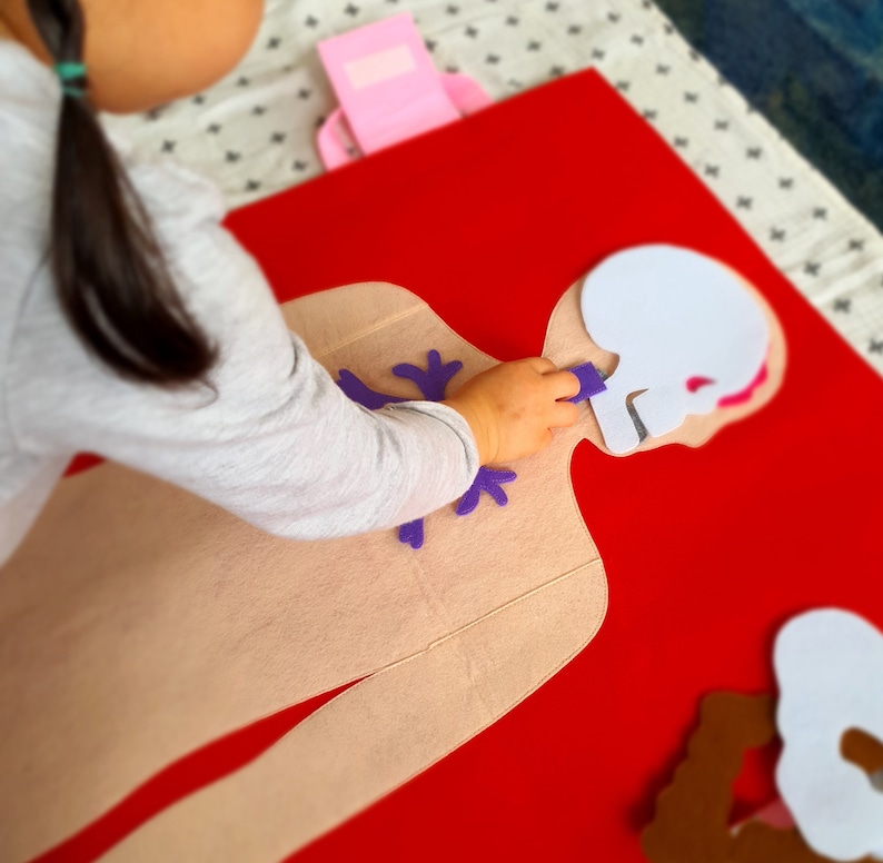 Felt Anatomy Puzzle Kit | Human Body Playmat & Organs Puzzle - Etsy
