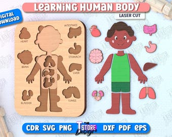 Learning Human Body Laser Cut Bundle, Montessori Toy, Human Body Puzzle ...