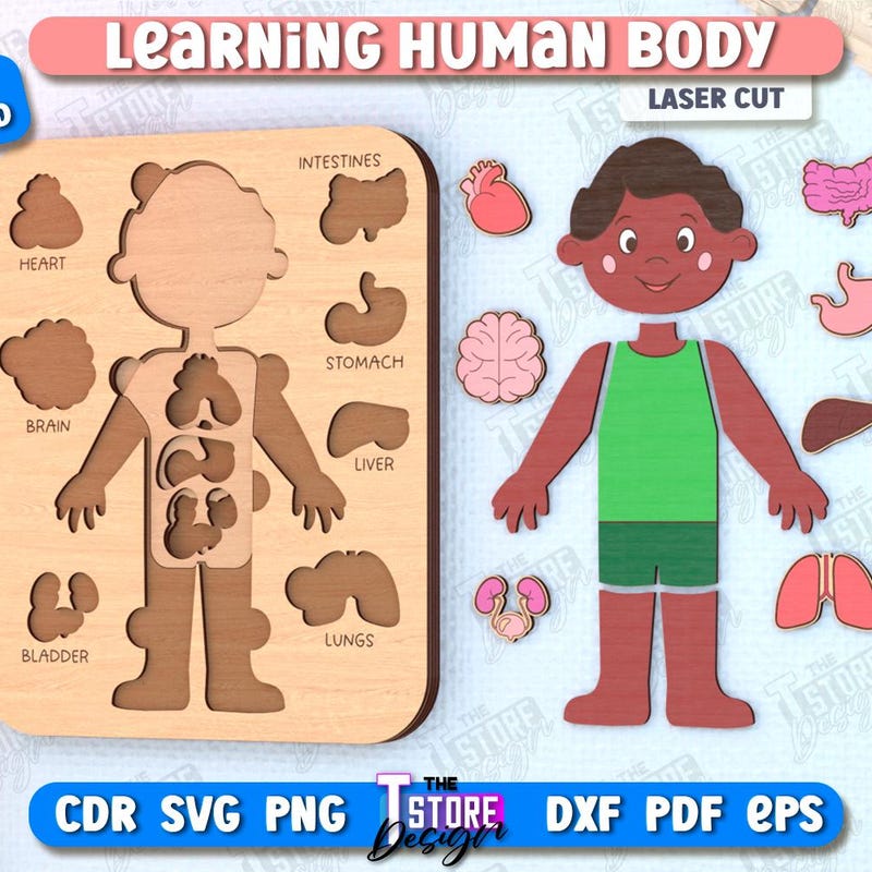 Human Body Puzzle - Etsy