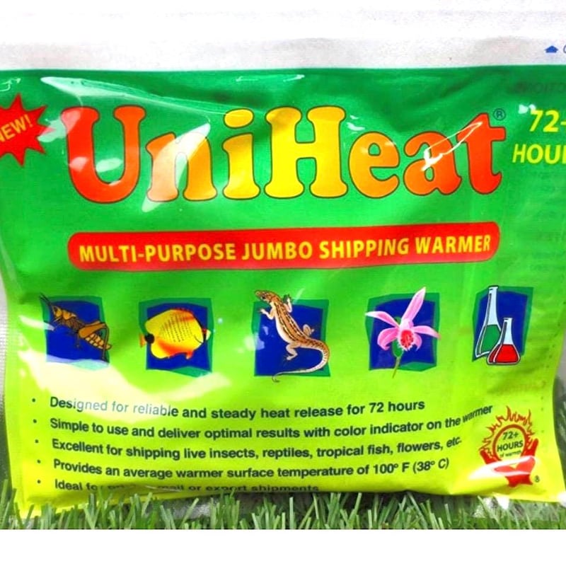 Snake Plants Pack - Etsy