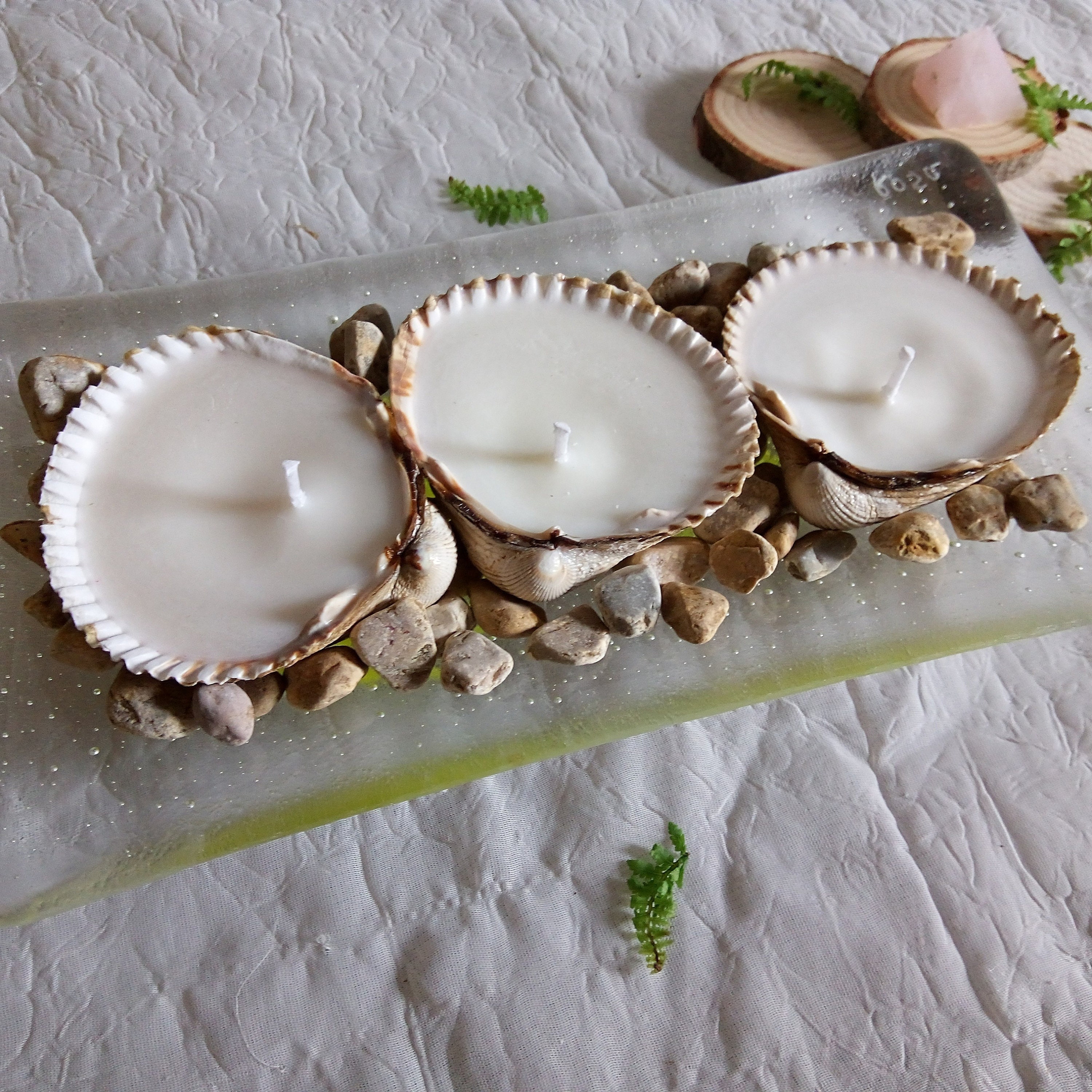Xs,s,m - Seashell Candle, Clam Shell Tea Light - Etsy