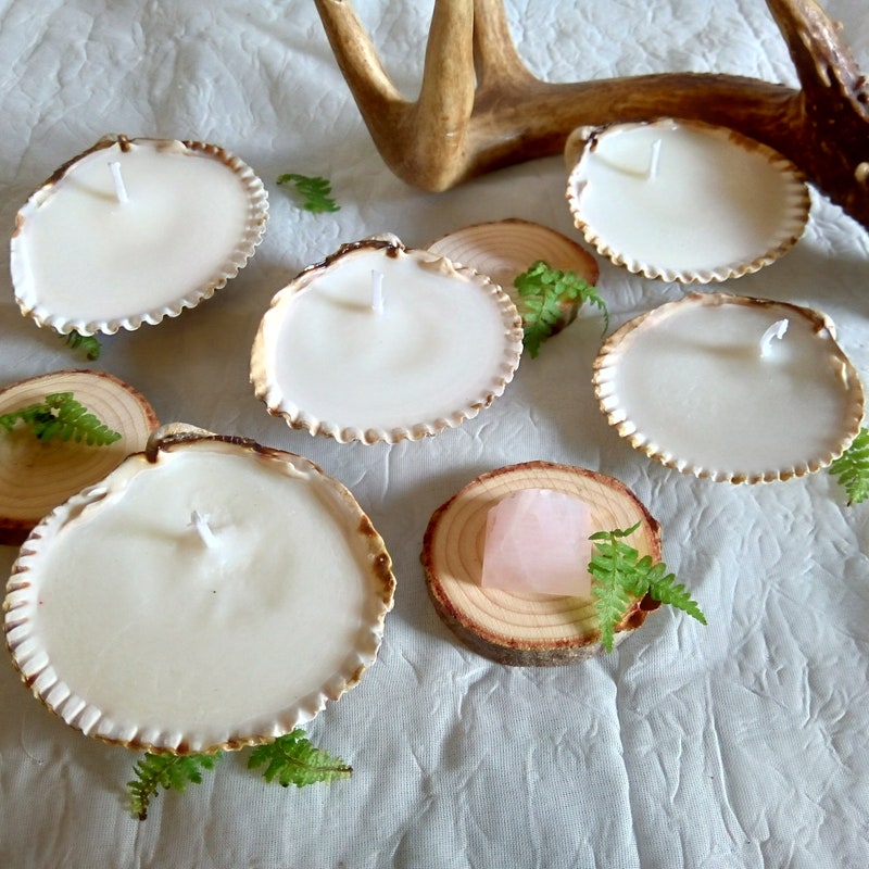 Seashell Candle - Etsy