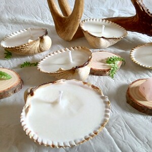 Xs,s,m - Seashell Candle, Clam Shell Tea Light - Etsy