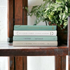 Seafoam Green Decor Green & Beige Book Set Stacked Books by Color ...