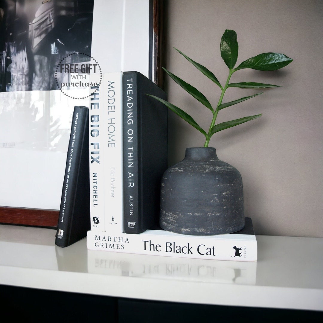 Book Stack Set for Aesthetic Room Decor, Lot of Books for Book Lover ...