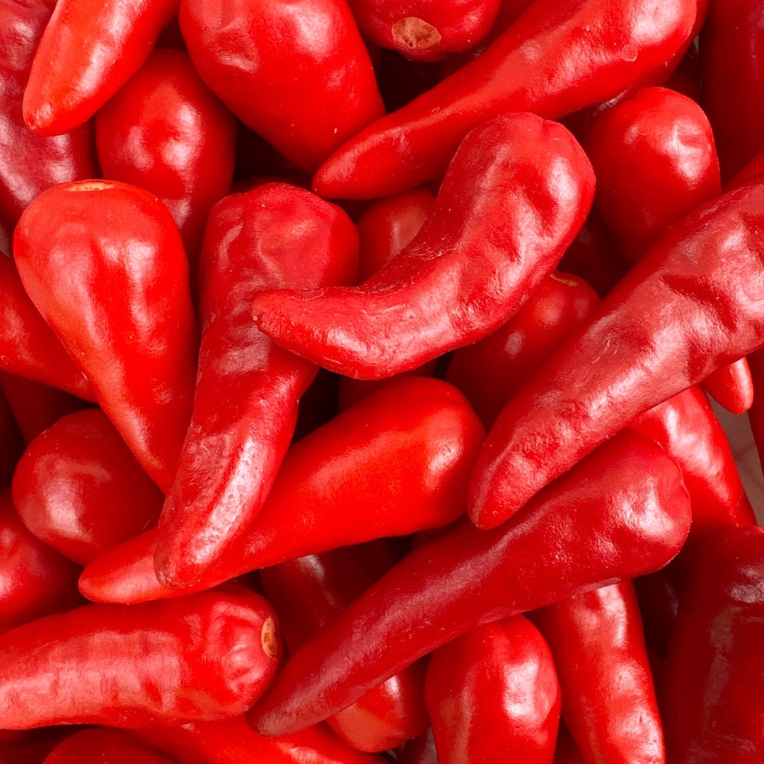 Wild Brazil Cross F2 Seeds - Hot Pepper Variety (15+ Seeds) - Etsy