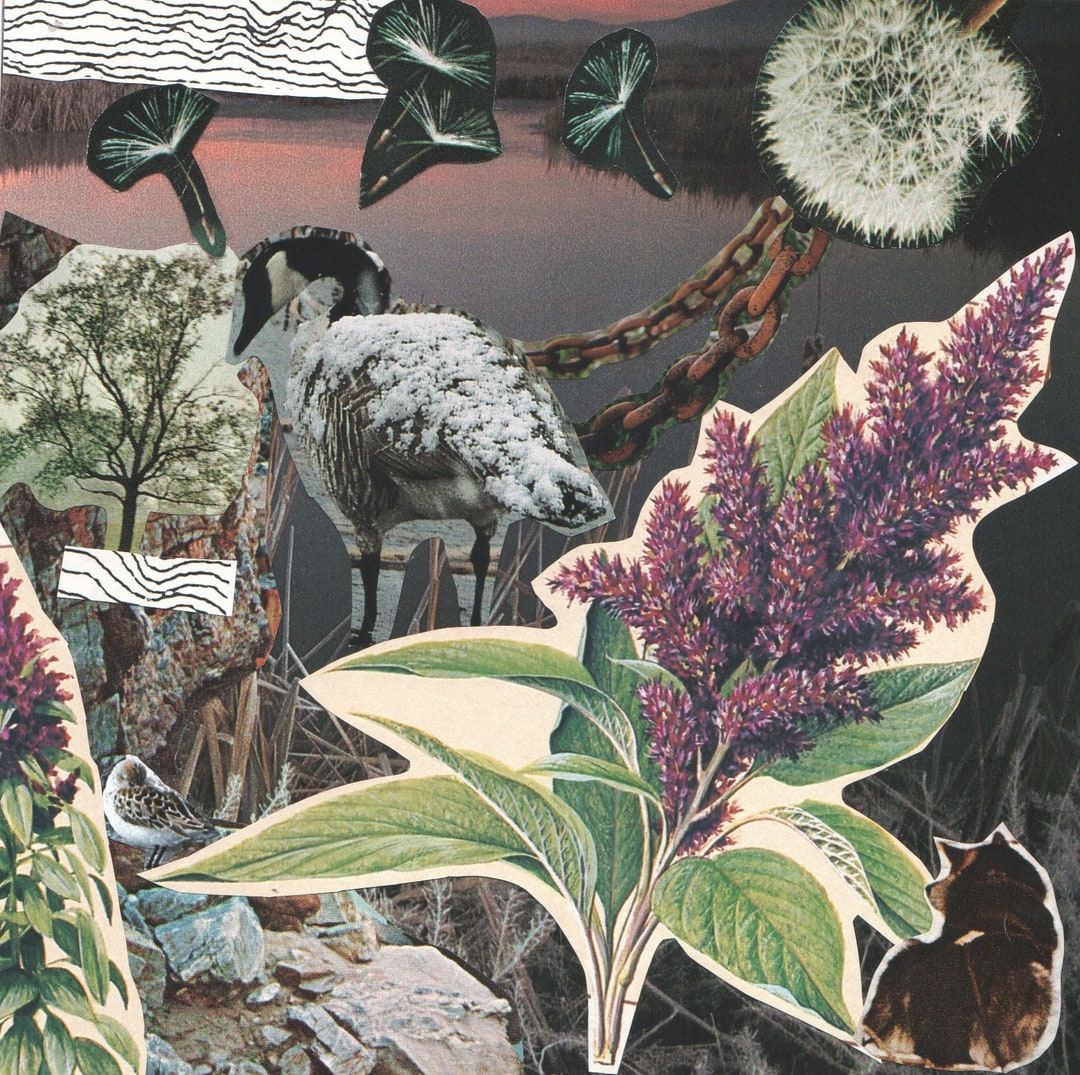 Collage Art Made From Vintage National Geographic Magazine, Featuring a ...