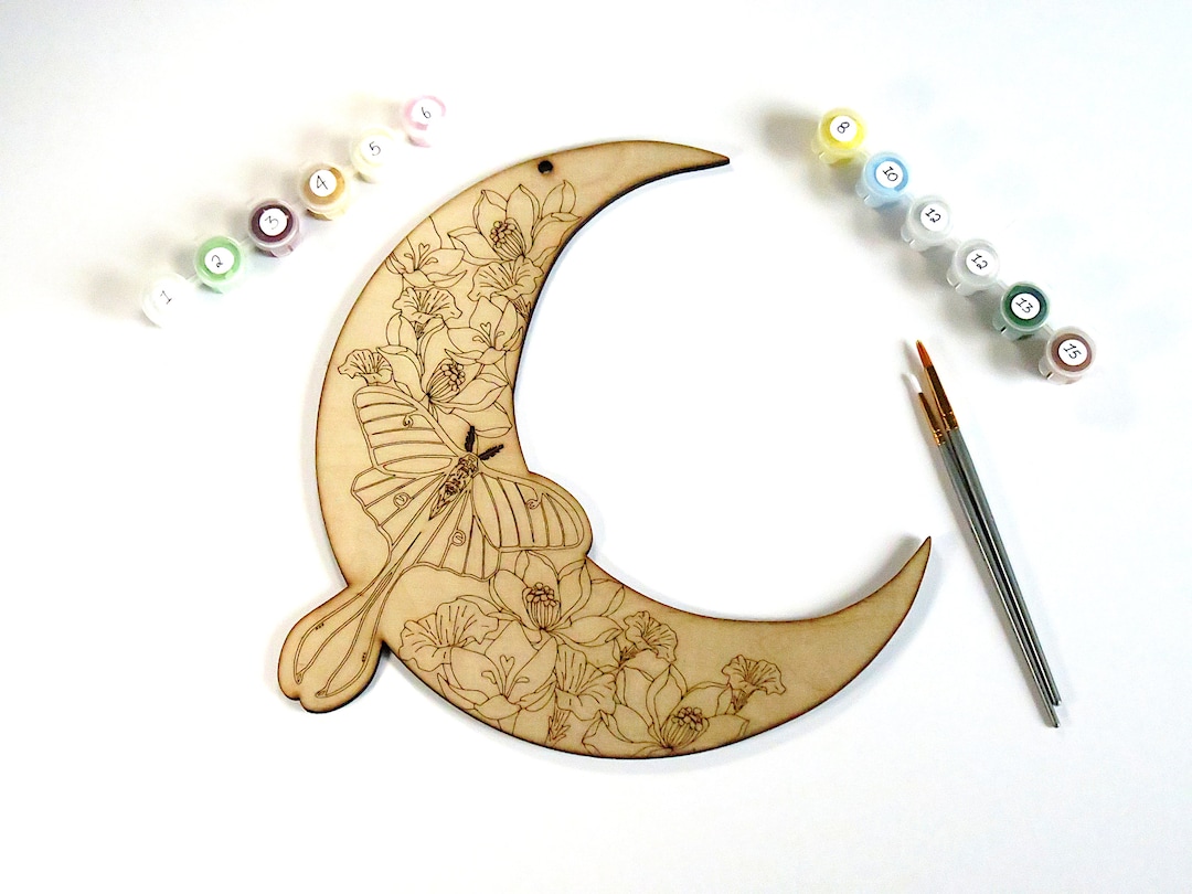 Luna Moth Moon Paint by Number Kit - Etsy