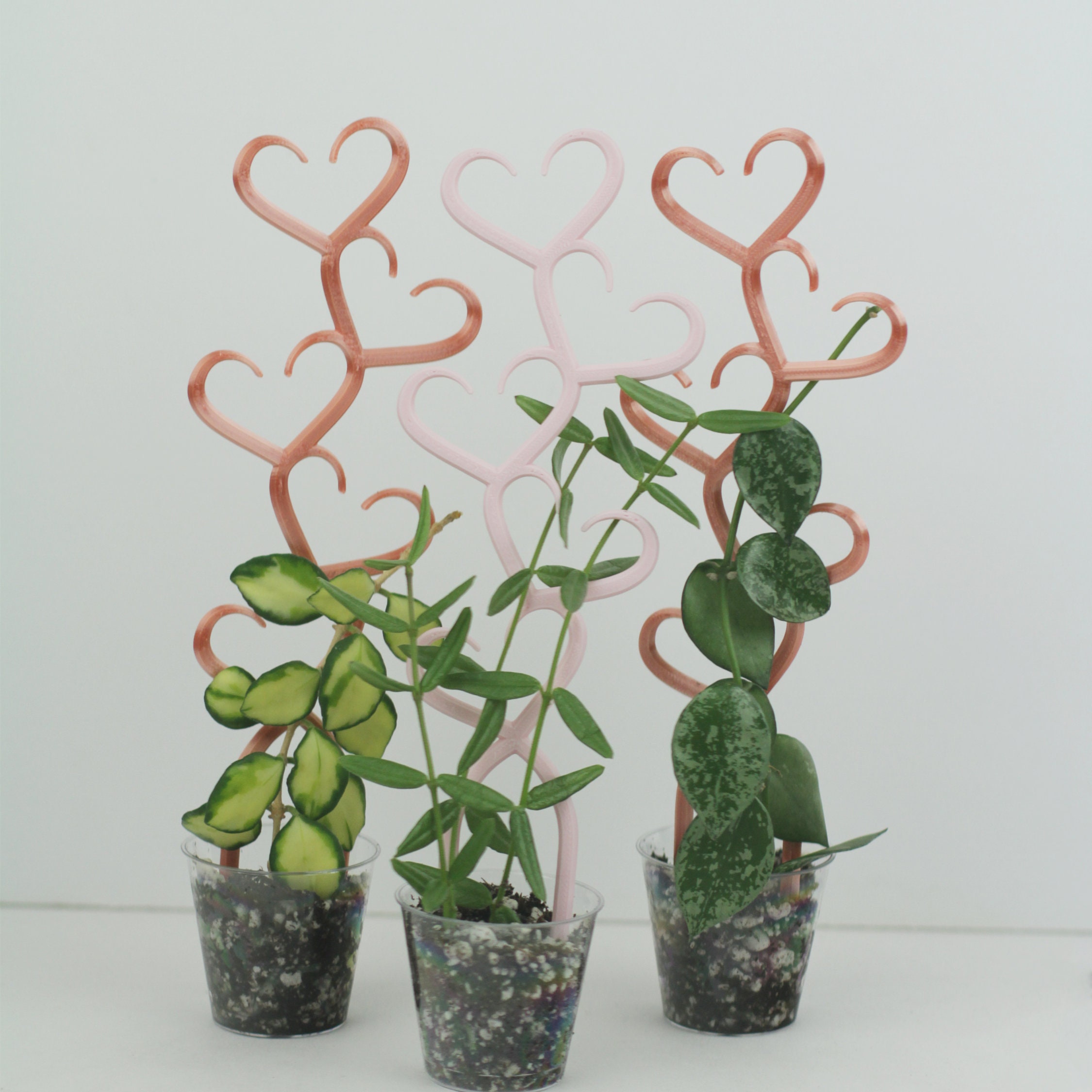 Stacked Hearts Trellis | Wooden Plant Trellis | Houseplant Trellis ...