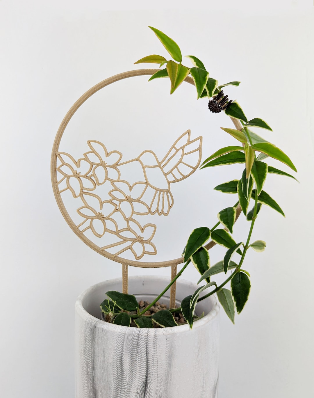 Hummingbird Trellis | Wood Plant Trellis | Houseplant Trellis | Plant ...