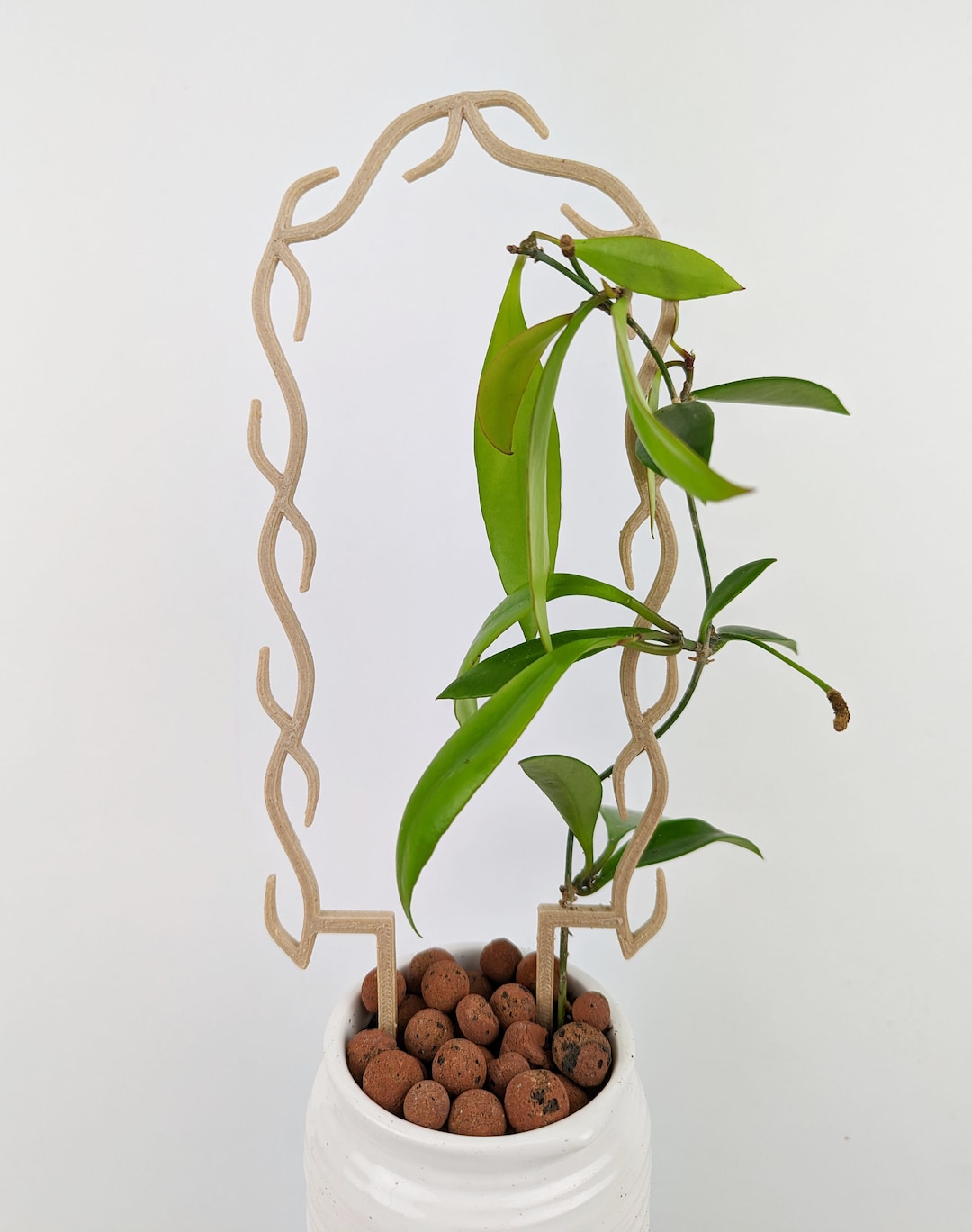U Wreath Trellis | Wooden Plant Trellis | Houseplant Trellis | Hoya ...