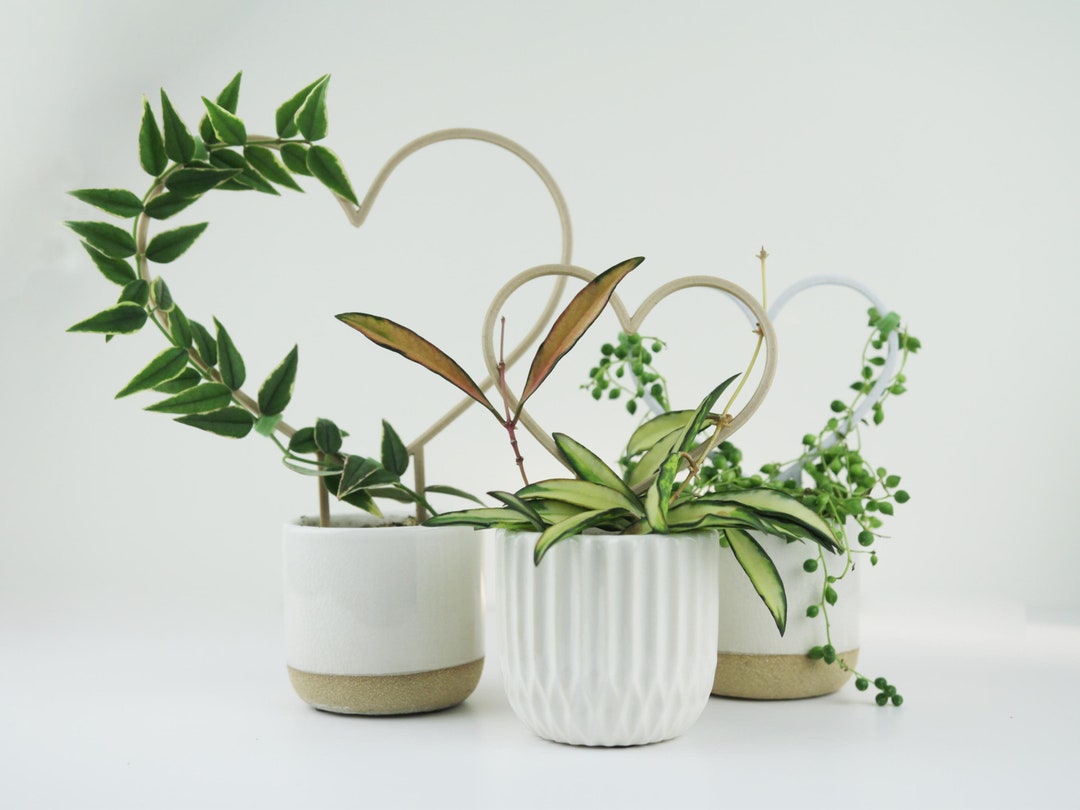 Heart Shaped Trellis | Hoya Trellis | Houseplant Trellis | Indoor Plant ...