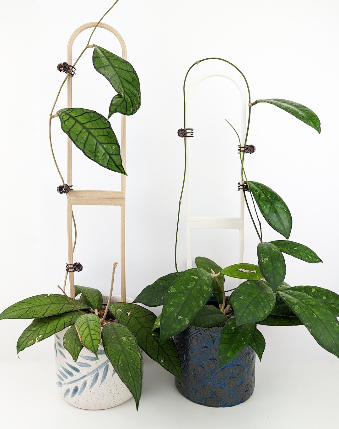 Extra Large U Trellis | Arch Trellis | Pothos Support | Houseplant ...