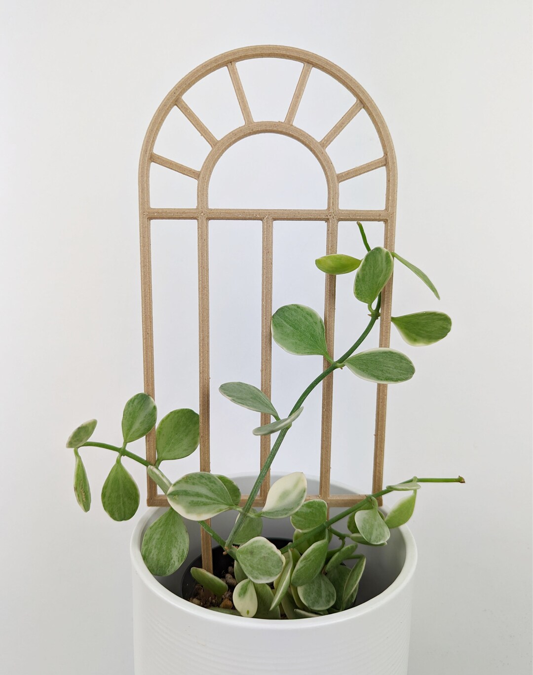 Arch Window Trellis | Radius Window | Houseplant Trellis | Wood Plant ...