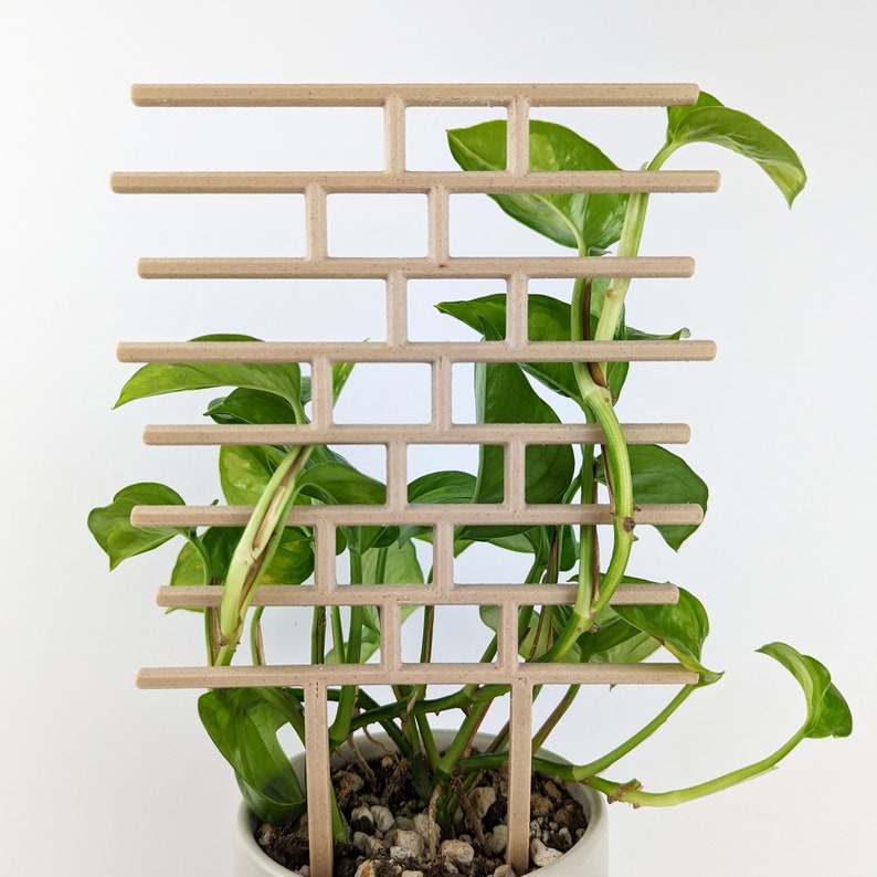 Brick Pattern Trellis | Hoya Trellis | Pothos Trellis | Houseplant ...