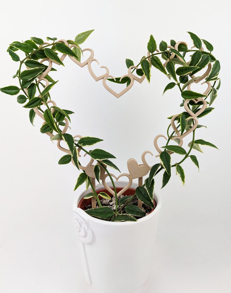 Open Hearts Trellis Houseplant Trellis Wood Plant Trellis Plant Stake ...