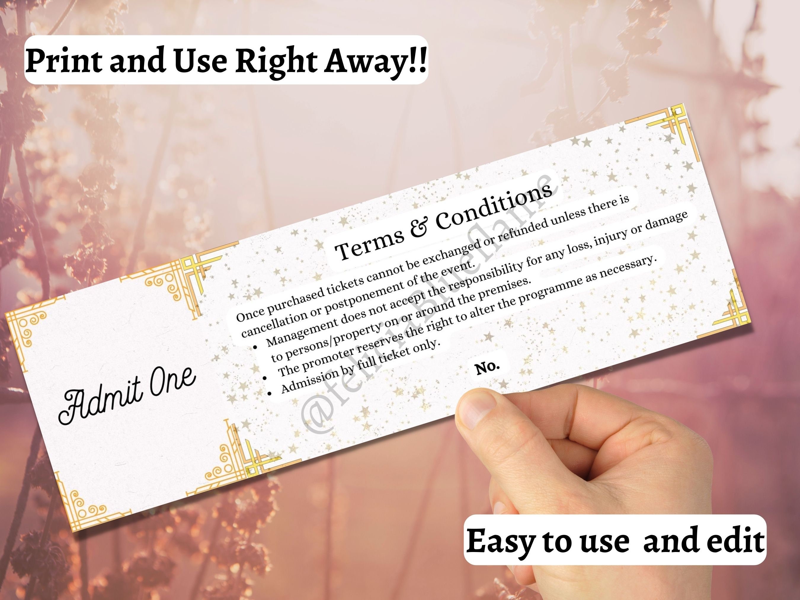 Stars Raffle Ticket, Editable Raffle Template Ticket, Diy Ticket ...