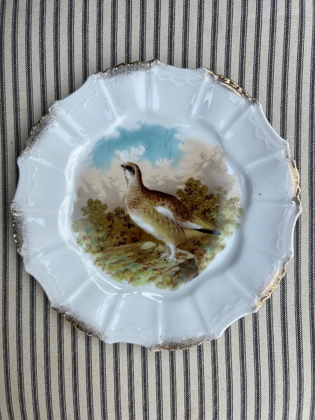 Trio German Hand Painted Game Bird Plates - Etsy