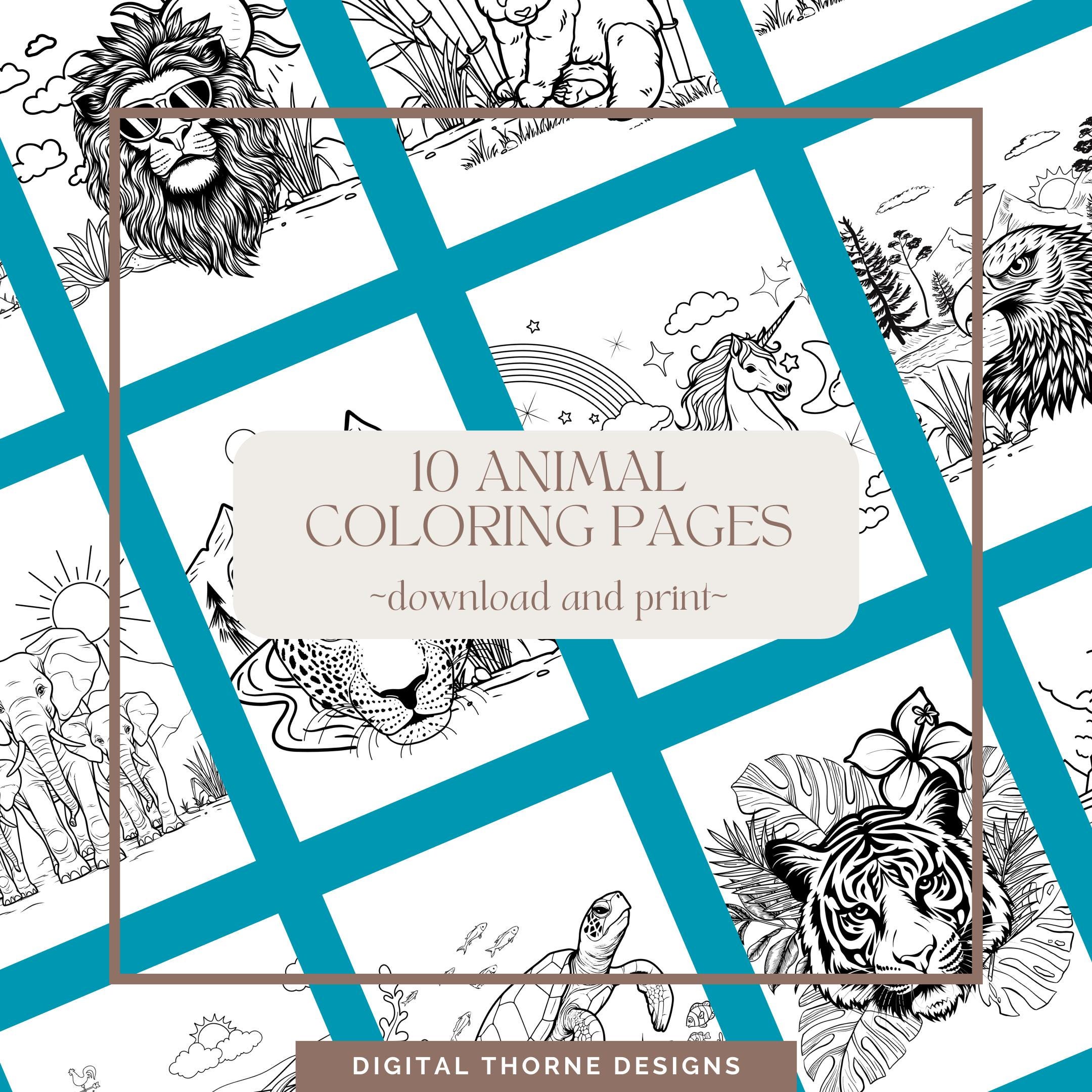 Animal Coloring Pages - Etsy
