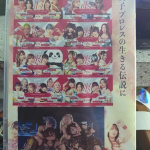 TJPW All Rise 2024 Pro Wrestling Dvd - Etsy